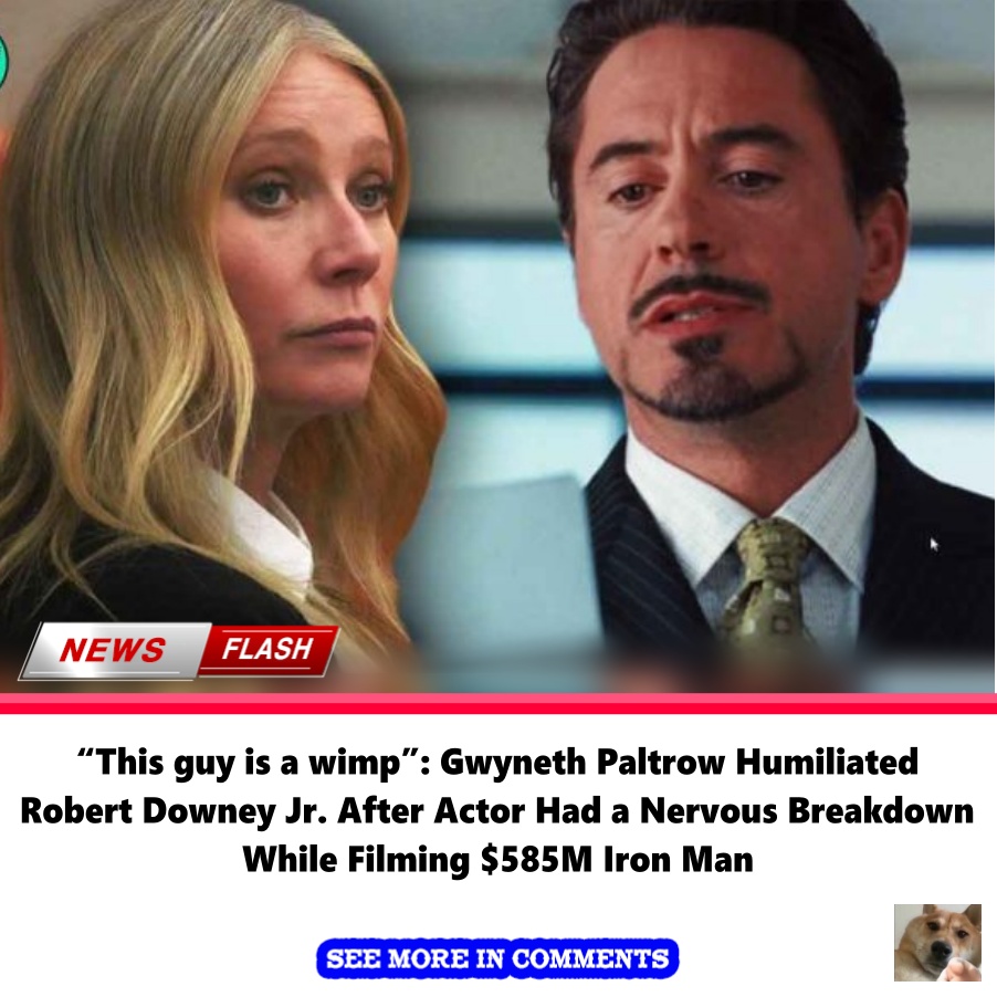 “This guy is a wimp”: Gwyneth Paltrow Humiliated Robert Downey Jr. After Actor Had a Nervous ...