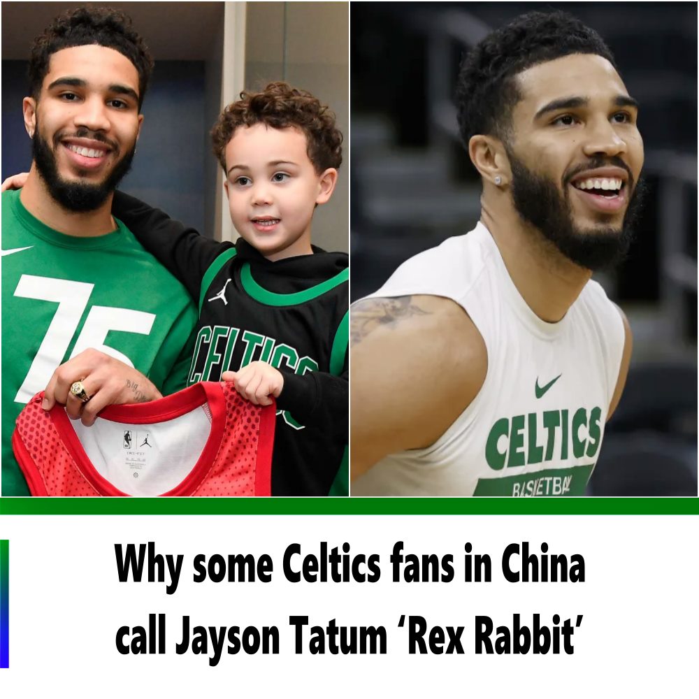 Why some Celtics fans in China call Jayson Tatum ‘Rex Rabbit’ - News