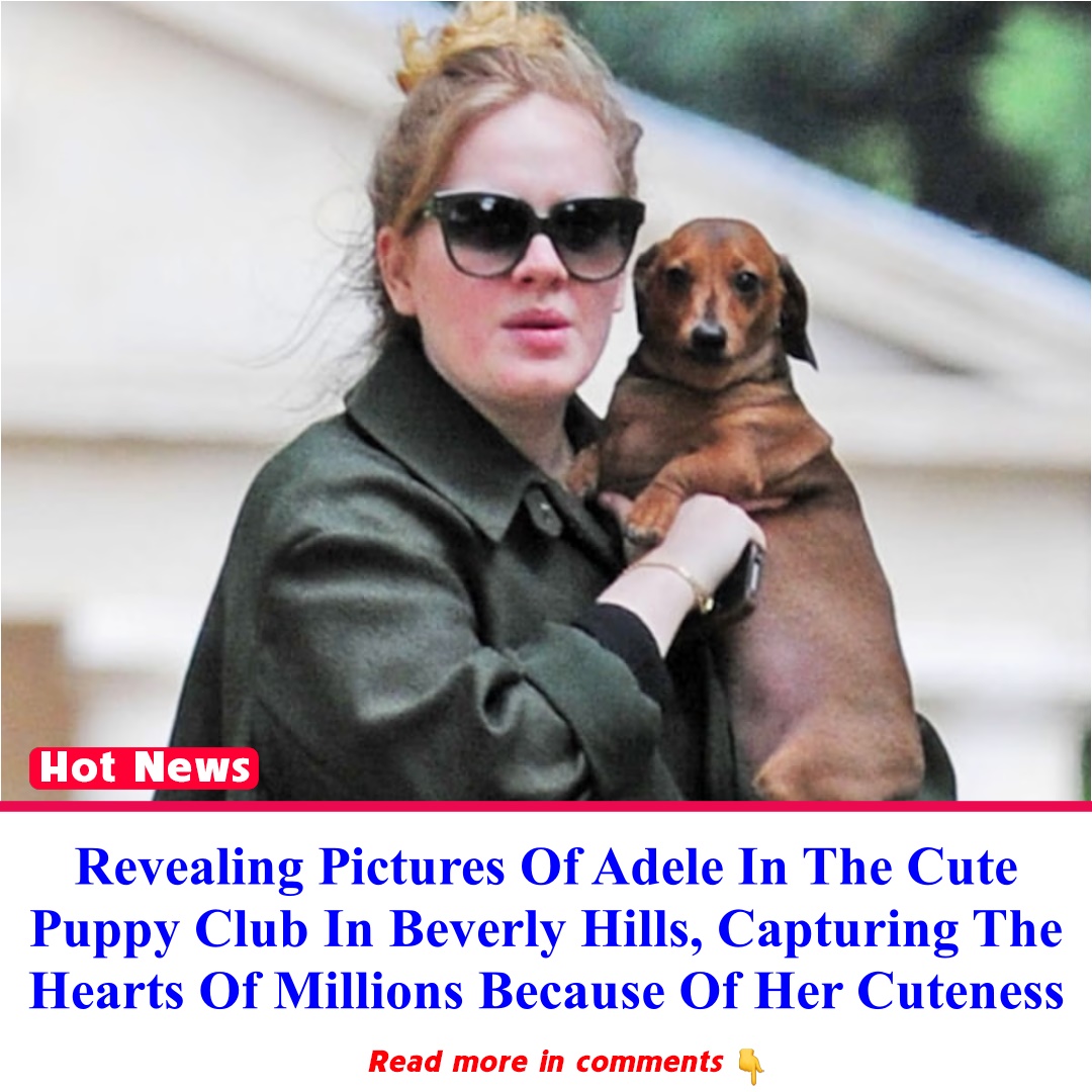 Revealing Pictures Of Adele In The Cute Puppy Club In Beverly Hills, Capturing The Hearts Of ...