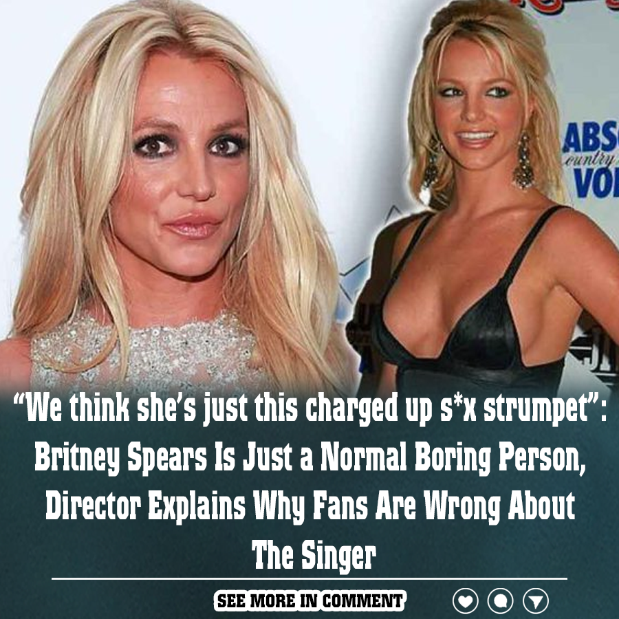 “We think she’s just this charged up s*x strumpet”: Britney Spears Is Just a Normal Boring ...