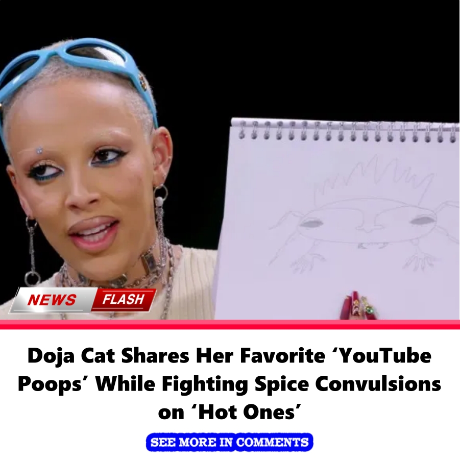 Doja Cat Shares Her Favorite ‘YouTube Poops’ While Fighting Spice ...