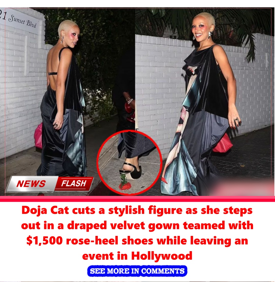 Doja Cat cuts a stylish figure as she steps out in a draped velvet gown ...