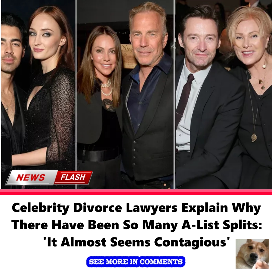 Celebrity Divorce Lawyers Explain Why There Have Been So Many A-List ...