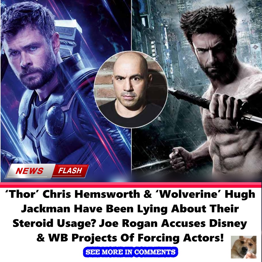 ‘Thor’ Chris Hemsworth & ‘Wolverine’ Hugh Jackman Have Been Lying About ...