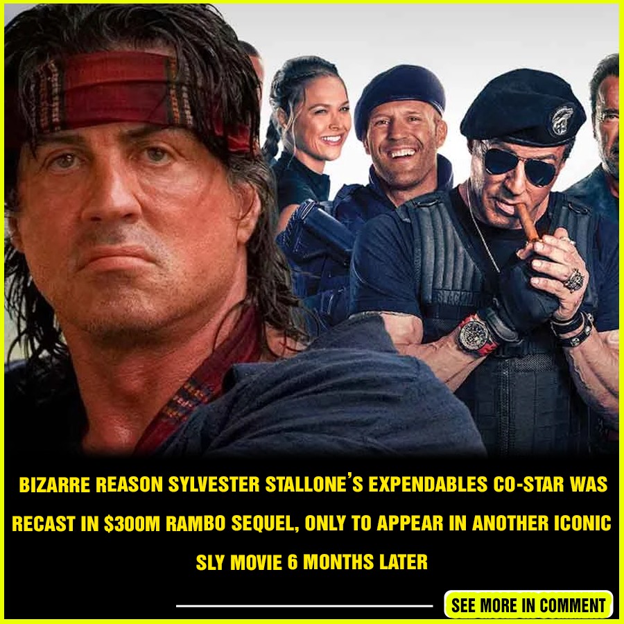 Bizarre Reason Sylvester Stallone’s Expendables Co-Star Was Recast in ...