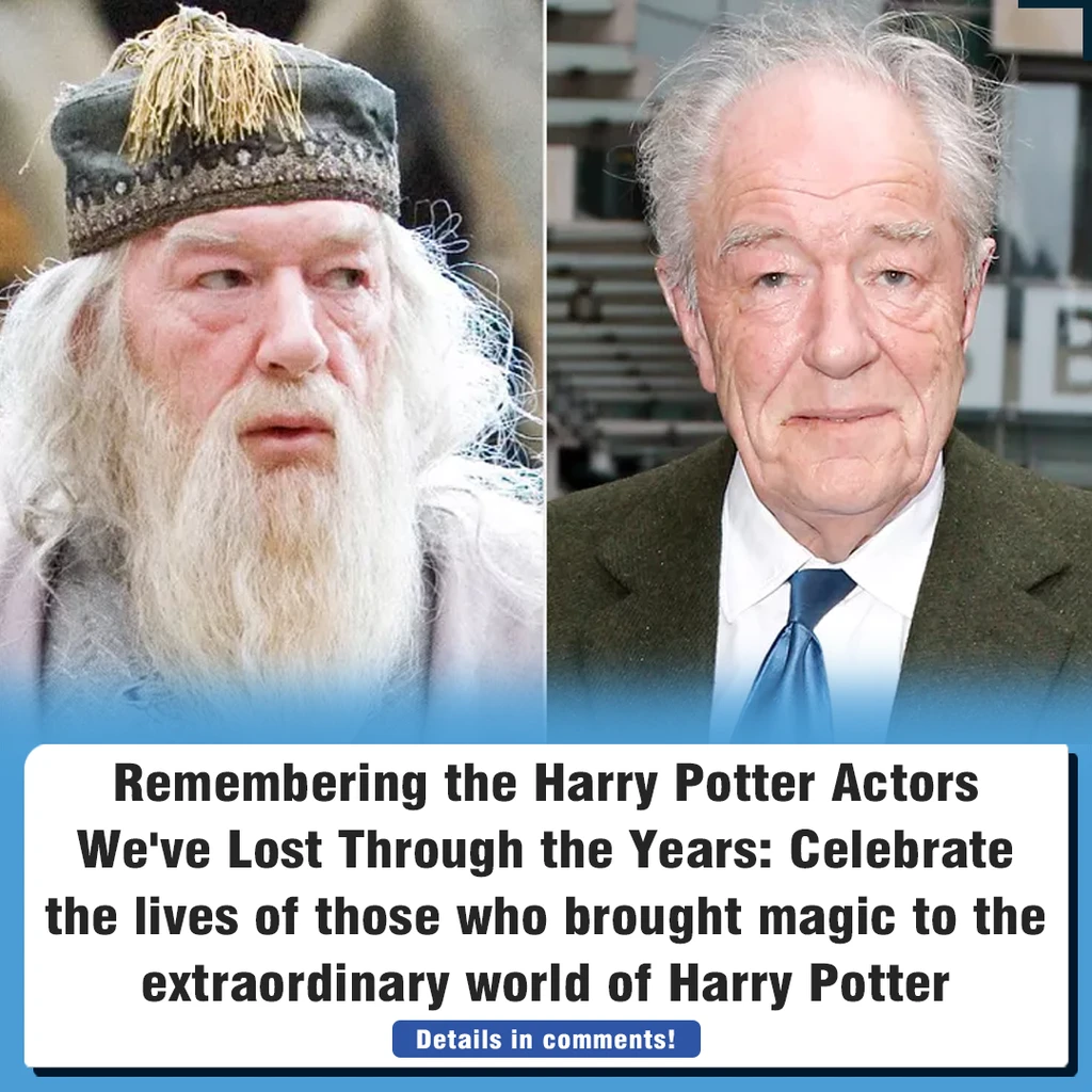 Remembering the Harry Potter Actors We've Lost Through the Years - News