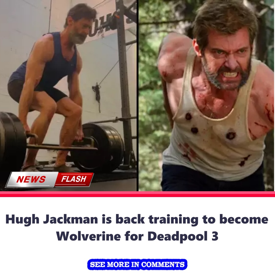 Hugh Jackman is back training to become Wolverine for Deadpool 3 - News