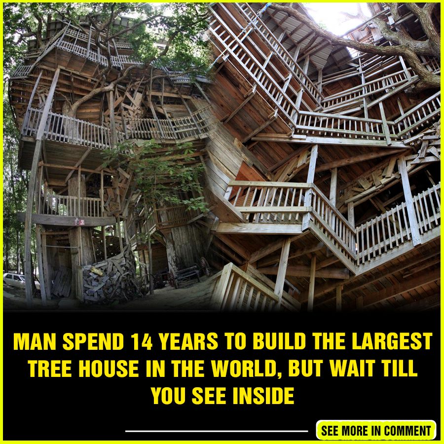 Man Spend 14 Years To Build The Largest Tree House In The World, But ...