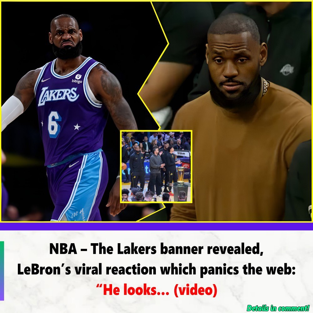NBA – The Lakers banner revealed, LeBron’s viral reaction which panics the web: “He looks… - News