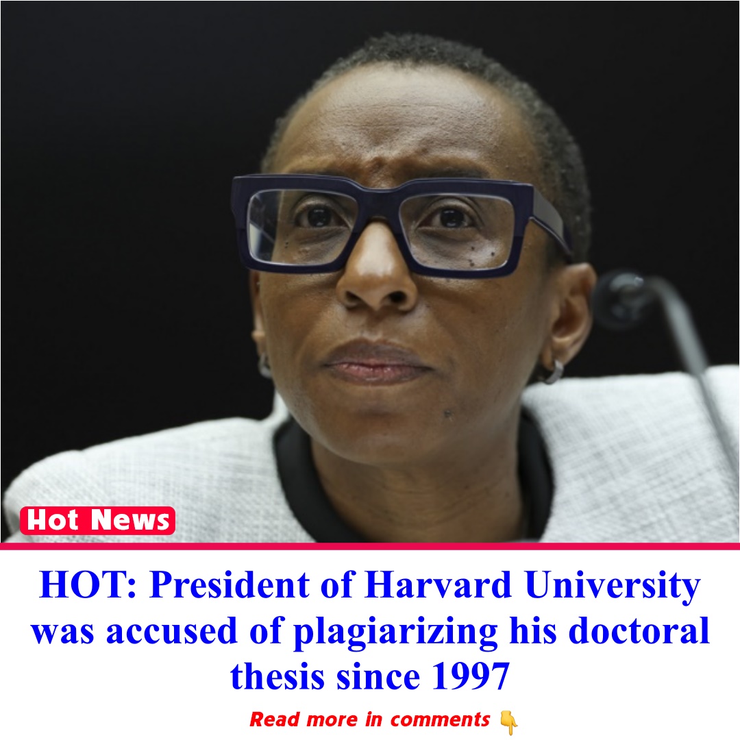 HOT: President of Harvard University was accused of plagiarizing his ...