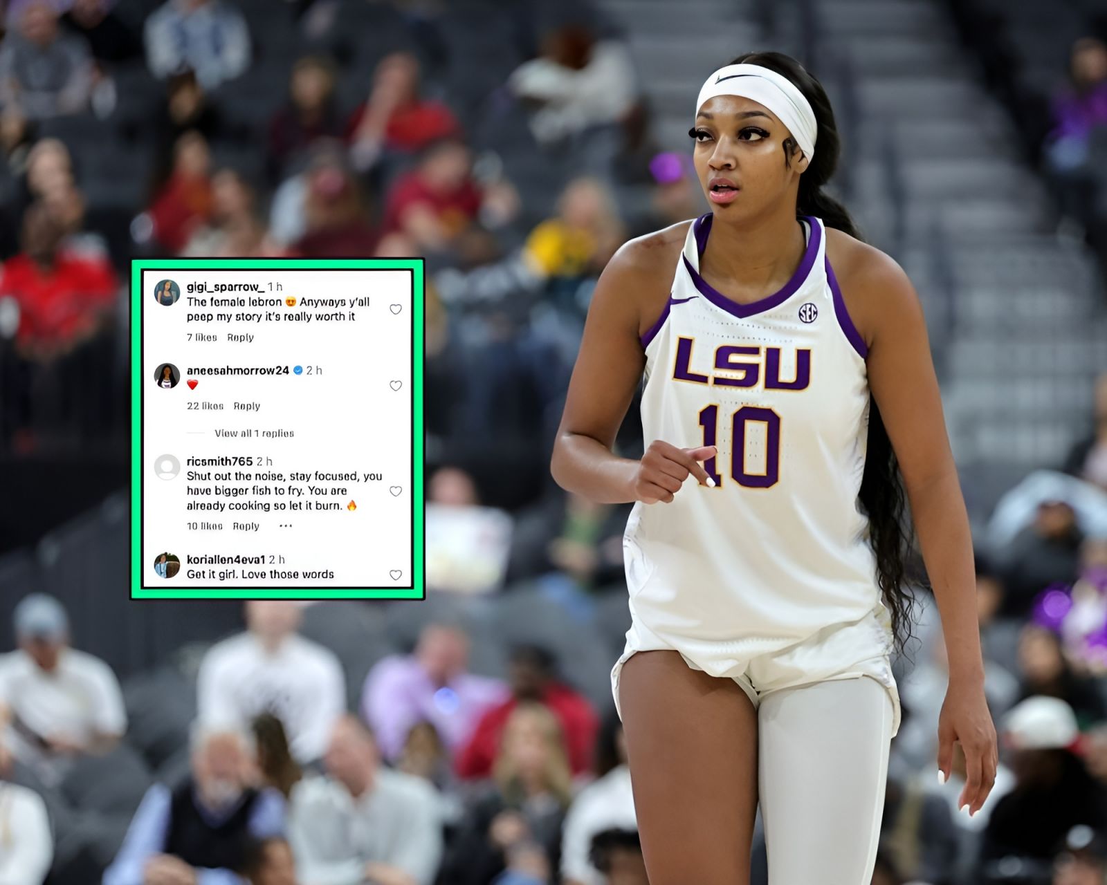 "Your gpa is below 2.0", "Female LeBron": Fans voiced mixed reactions ...