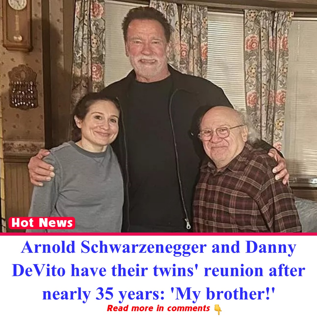 Arnold Schwarzenegger and Danny DeVito have their twins' reunion after ...