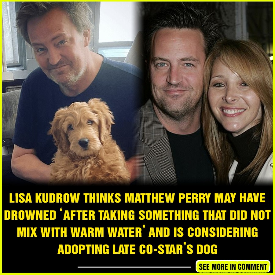 Lisa Kudrow thinks Matthew Perry may have drowned ‘after taking ...