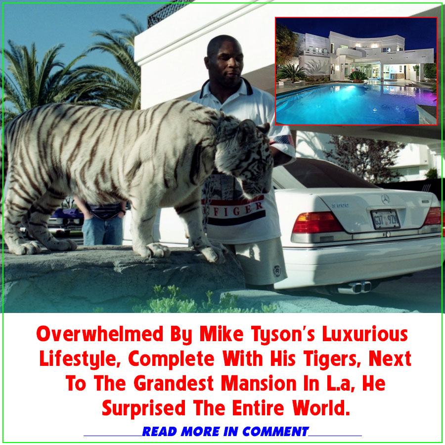Overwhelmed By Mike Tyson’s Luxurious Lifestyle, Complete With His ...