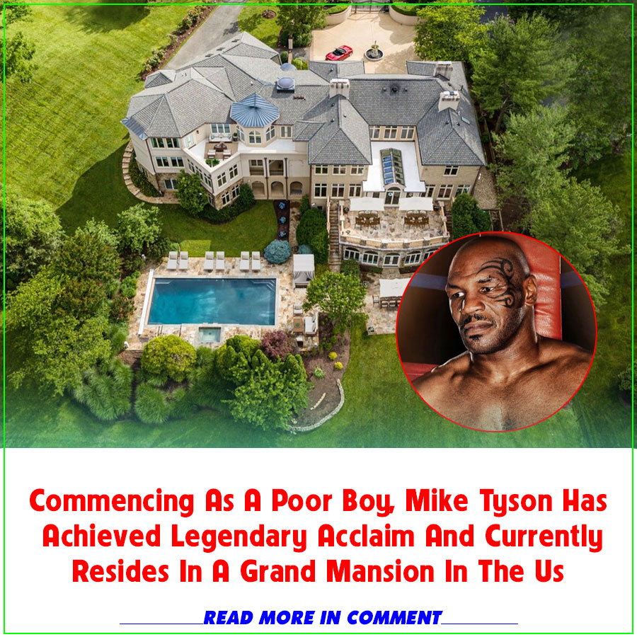 Commencing As A Poor Boy, Mike Tyson Has Achieved Legendary Acclaim And ...