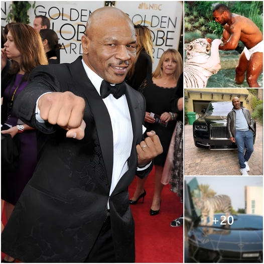 Mike Tyson’s Revelation About His Opulent Lifestyle Reached Its Zenith ...