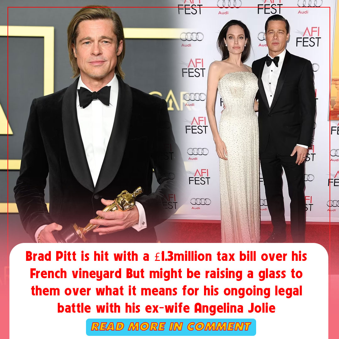 Brad Pitt is hit with a £1.3million tax bill over his French vineyard ...