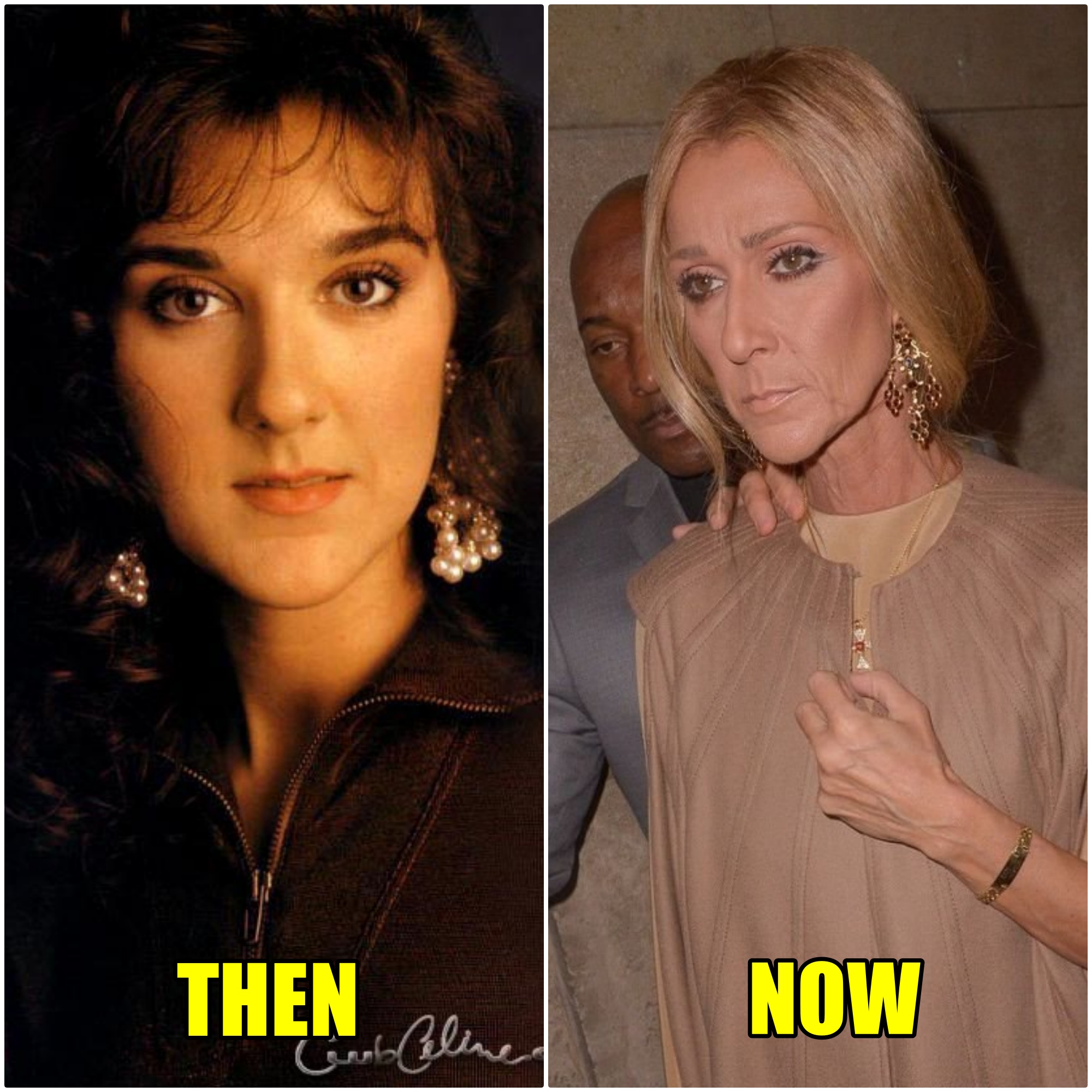 Celine Dion has 13 siblings! Meet the singer's family as her sister ...