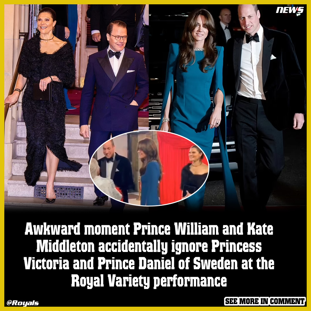 Awkward moment Prince William and Kate Middleton accidentally ignore ...