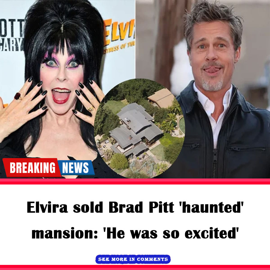 Elvira sold Brad Pitt 'haunted' mansion: 'He was so excited' - News
