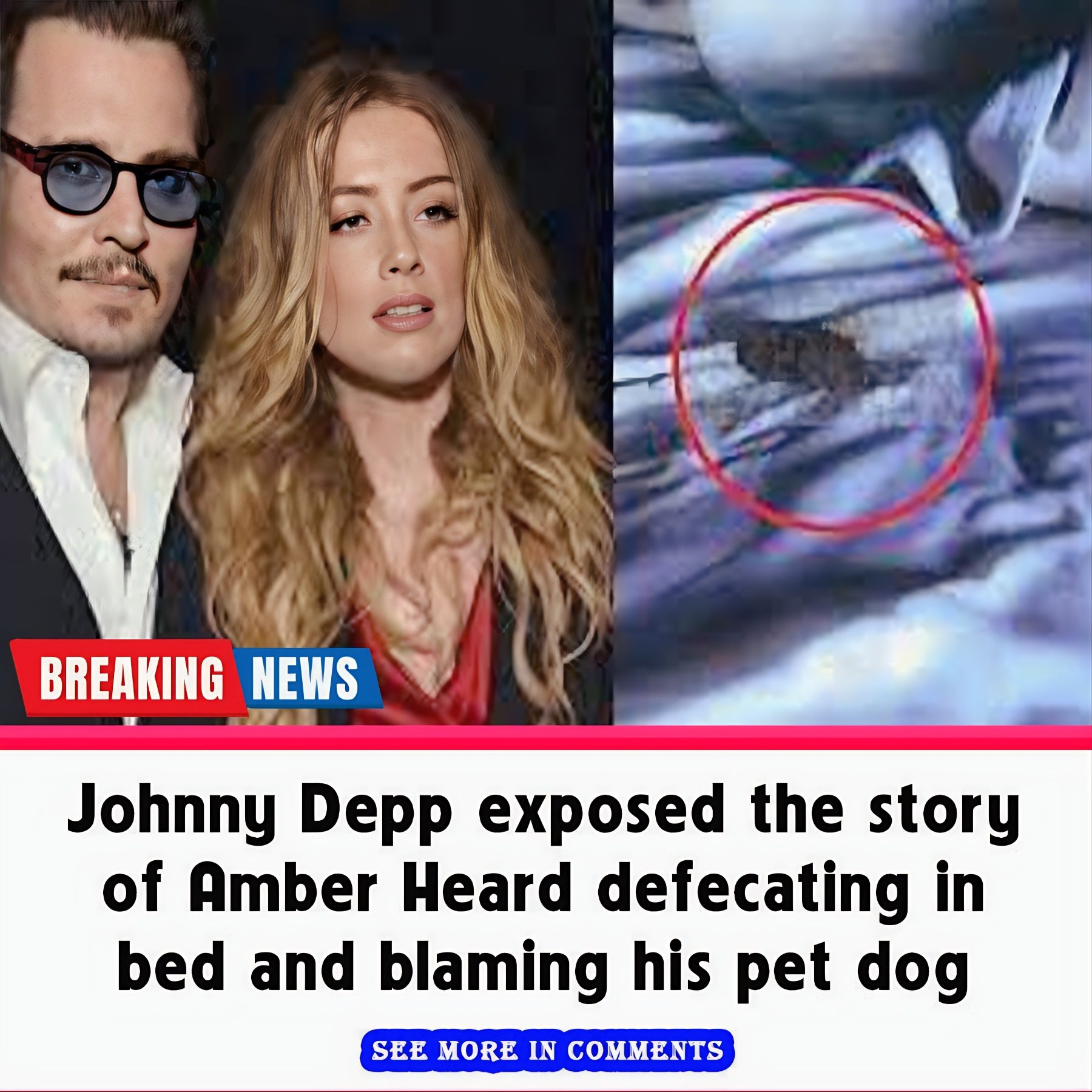Johnny Depp exposed the story of Amber Heard defecating in bed and ...