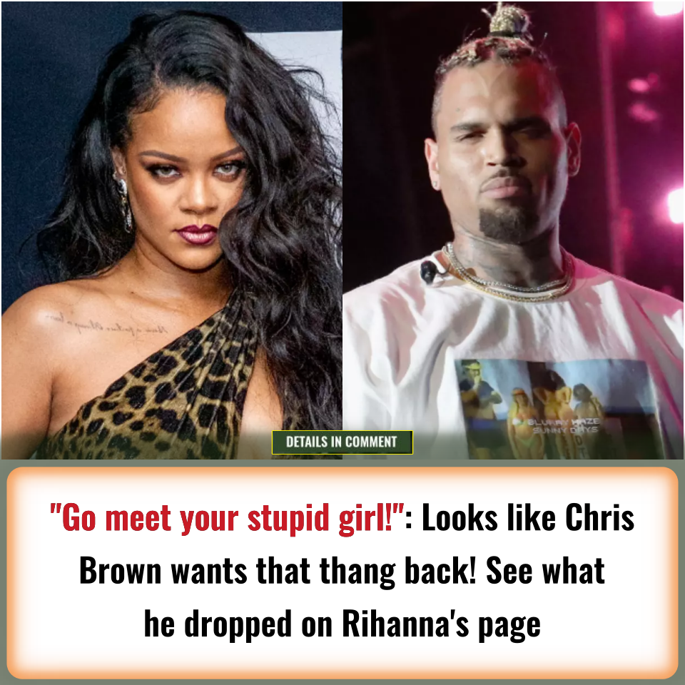 "Go meet your stupid girl!": Looks like Chris Brown wants that thang ...