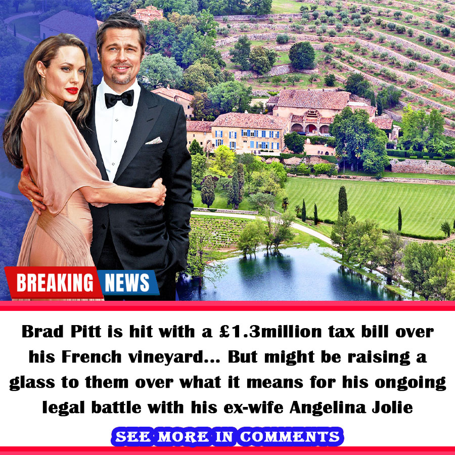 Brad Pitt is hit with a £1.3million tax bill over his French vineyard ...