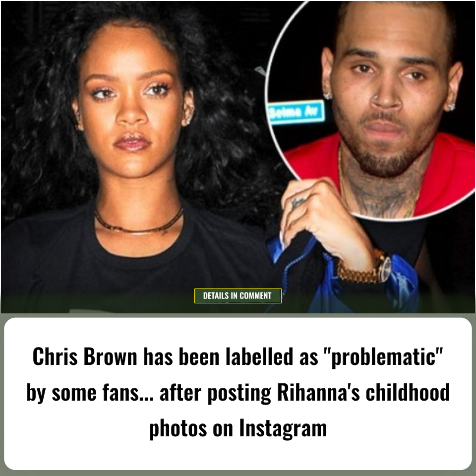 Chris Brown has been labelled as "problematic" by some fans... after ...