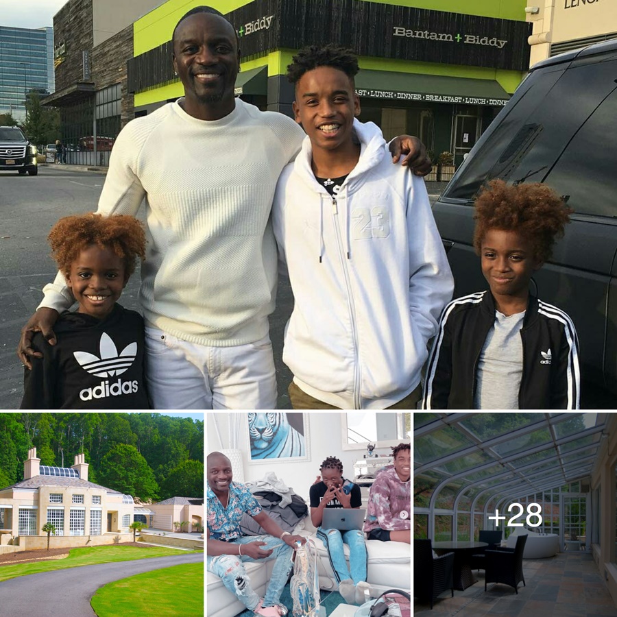 American Hip-Hop Legend of Senegalese Descent, Akon’s $2.6M Atlanta ...