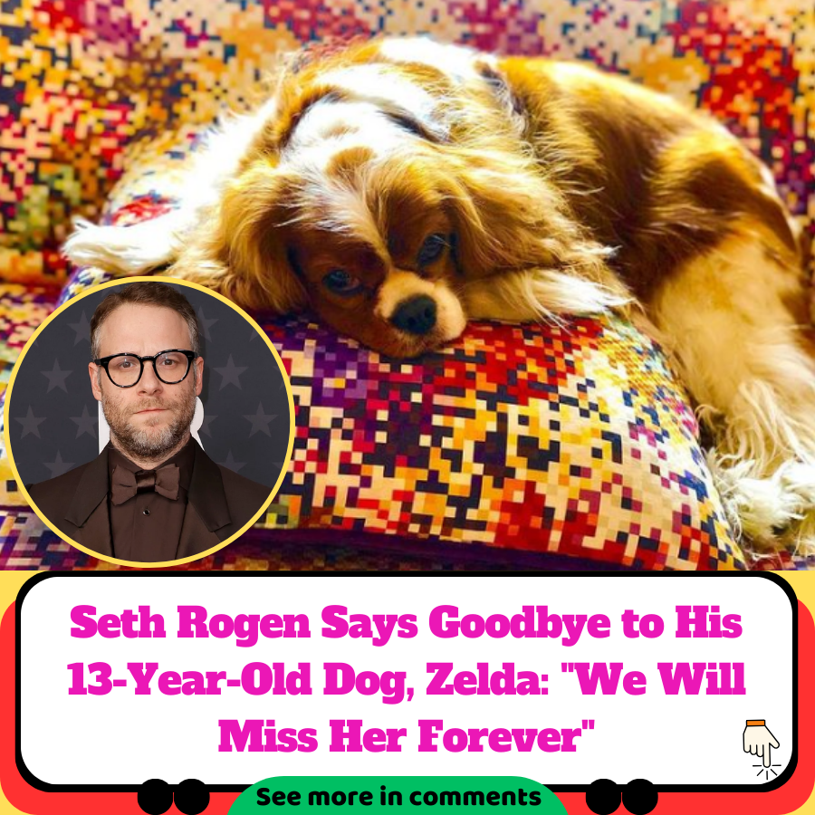 Seth Rogen Says Goodbye to His 13-Year-Old Dog, Zelda: "We Will Miss ...