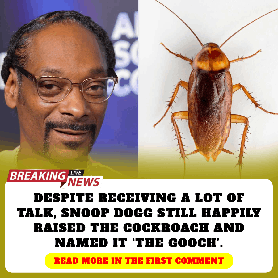 Despite receiving a lot of talk, Snoop Dogg still happily raised the ...