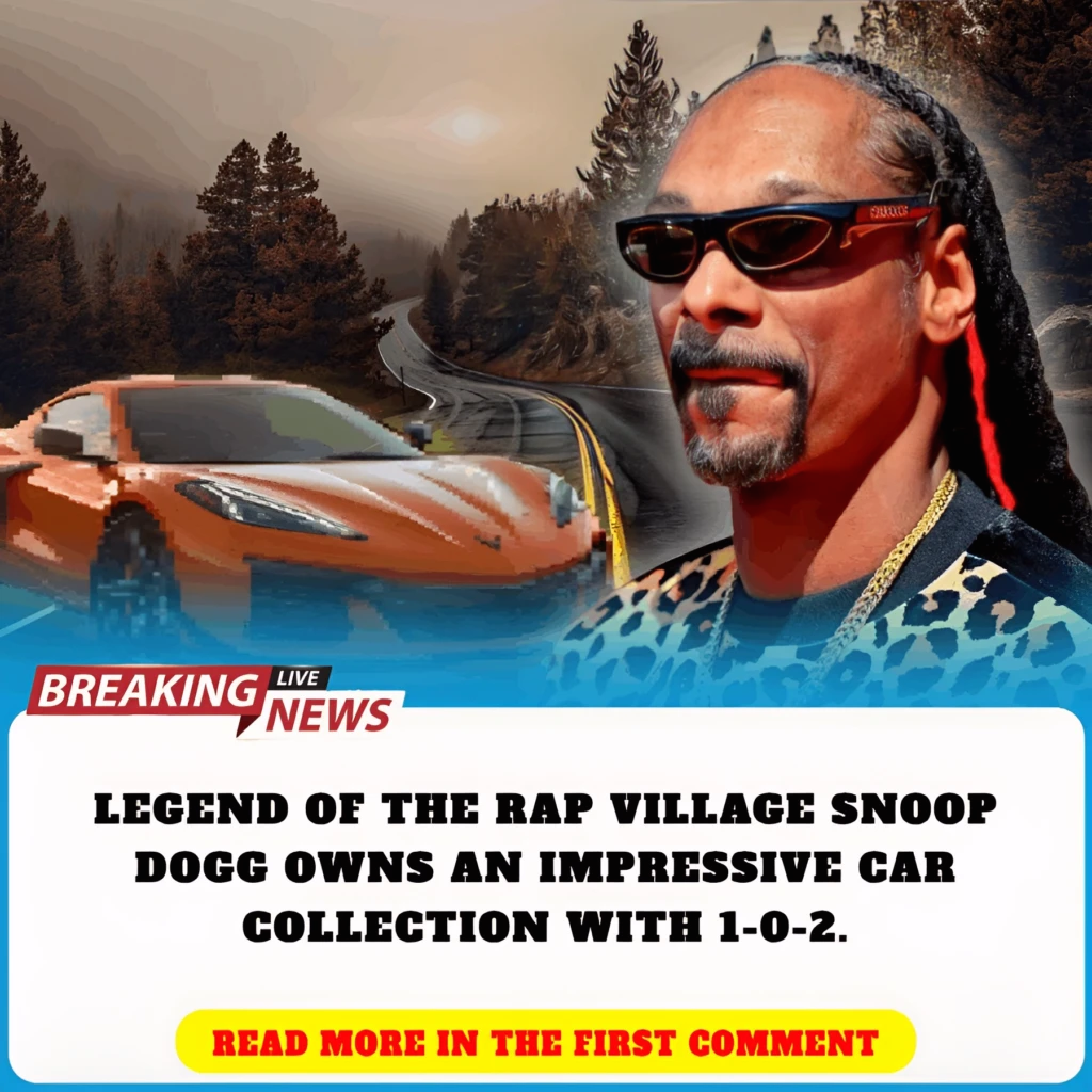 Legend of the rap village Snoop Dogg owns an impressive car collection with 1-0-2 - News