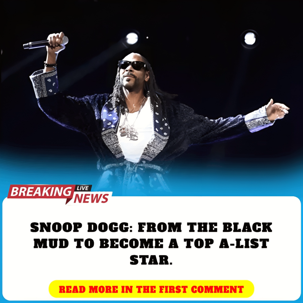 Snoop Dogg: From the black mud to become a top A-list star - News