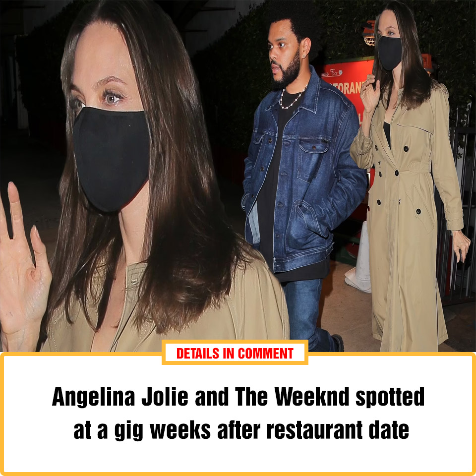Angelina Jolie and The Weeknd spotted at a gig weeks after restaurant ...