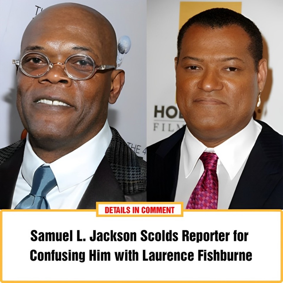 Samuel L. Jackson Scolds Reporter for Confusing Him with Laurence ...