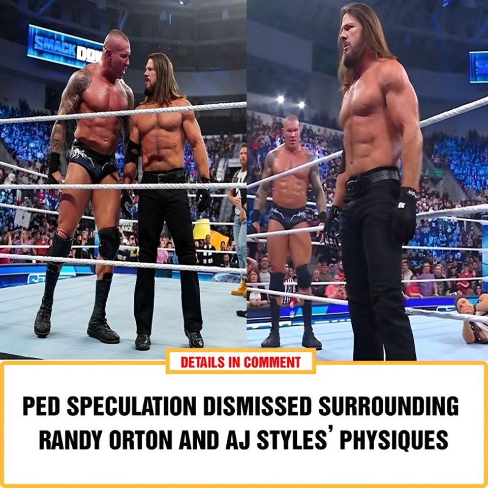 PED SPECULATION DISMISSED SURROUNDING RANDY ORTON AND AJ STYLES ...