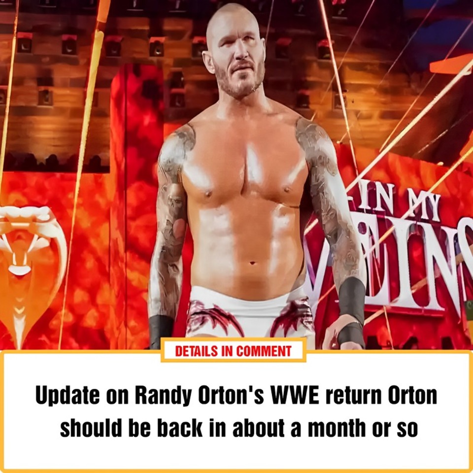 Update on Randy Orton's WWE return Orton should be back in about a month or so - News
