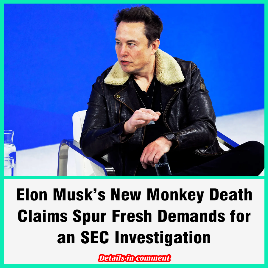 Elon Musk’s New Monkey Death Claims Spur Fresh Demands for an SEC ...