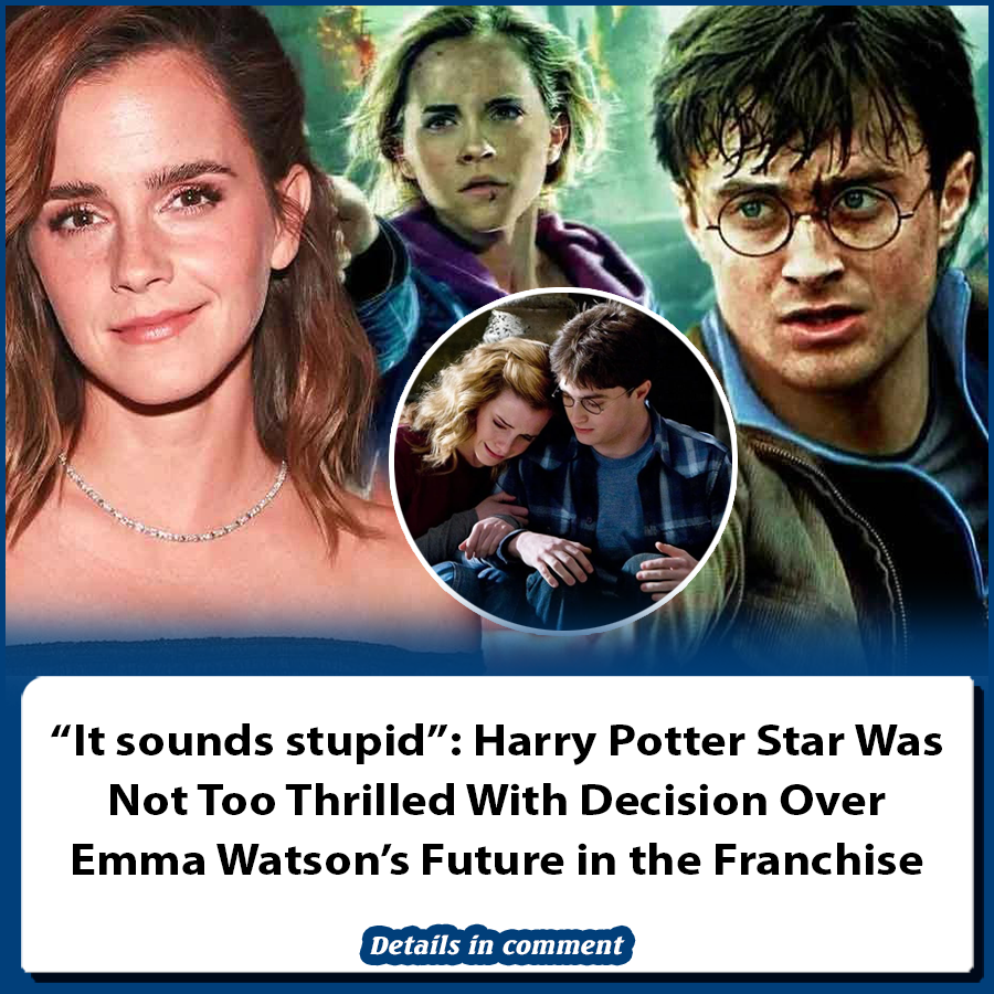 “It sounds stupid”: Harry Potter Star Was Not Too Thrilled With ...