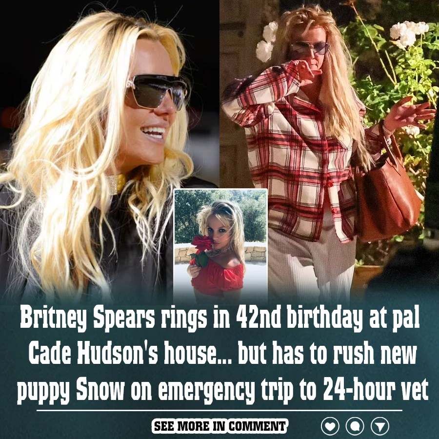 Britney Spears rings in 42nd birthday at pal Cade Hudson's house... but ...