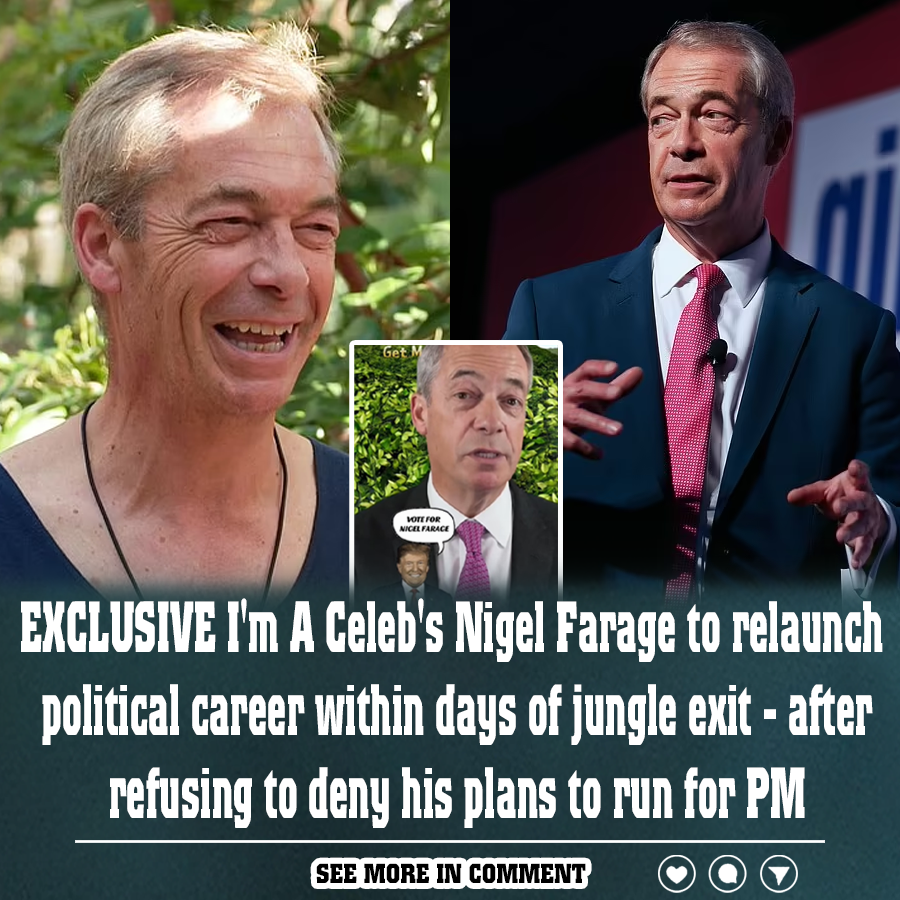 EXCLUSIVE I'm A Celeb's Nigel Farage to relaunch political career ...