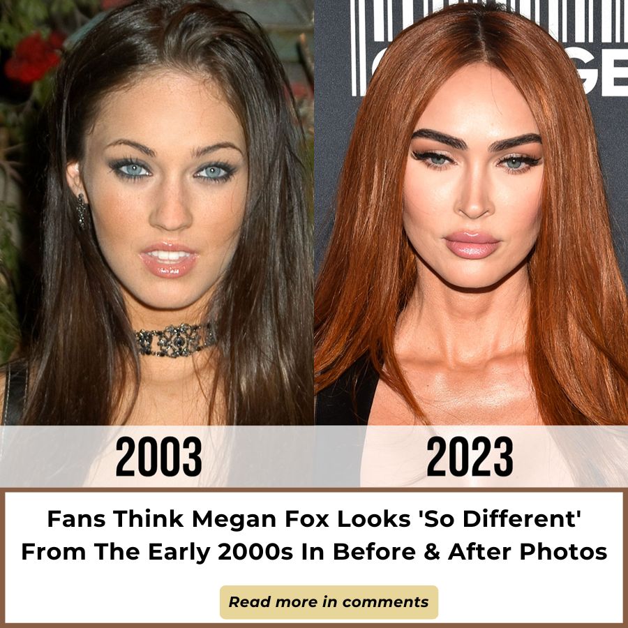 Fans Think Megan Fox Looks 'So Different' From The Early 2000s In ...