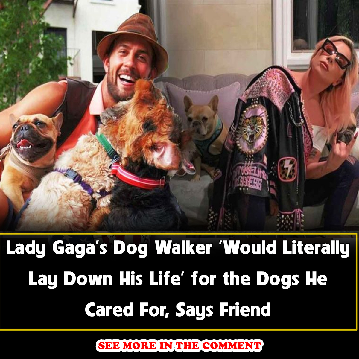 Lady Gaga's Dog Walker 'Would Literally Lay Down His Life' for the Dogs ...