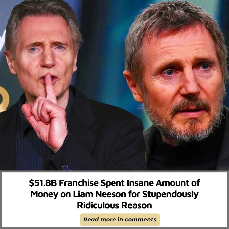 $51.8B Franchise Spent Insane Amount of Money on Liam Neeson for ...
