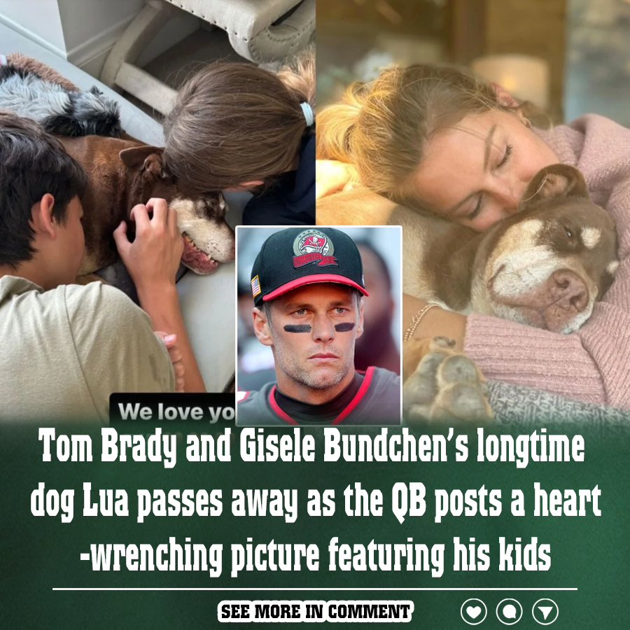 Tom Brady and Gisele Bundchen’s longtime dog Lua passes away as the QB ...