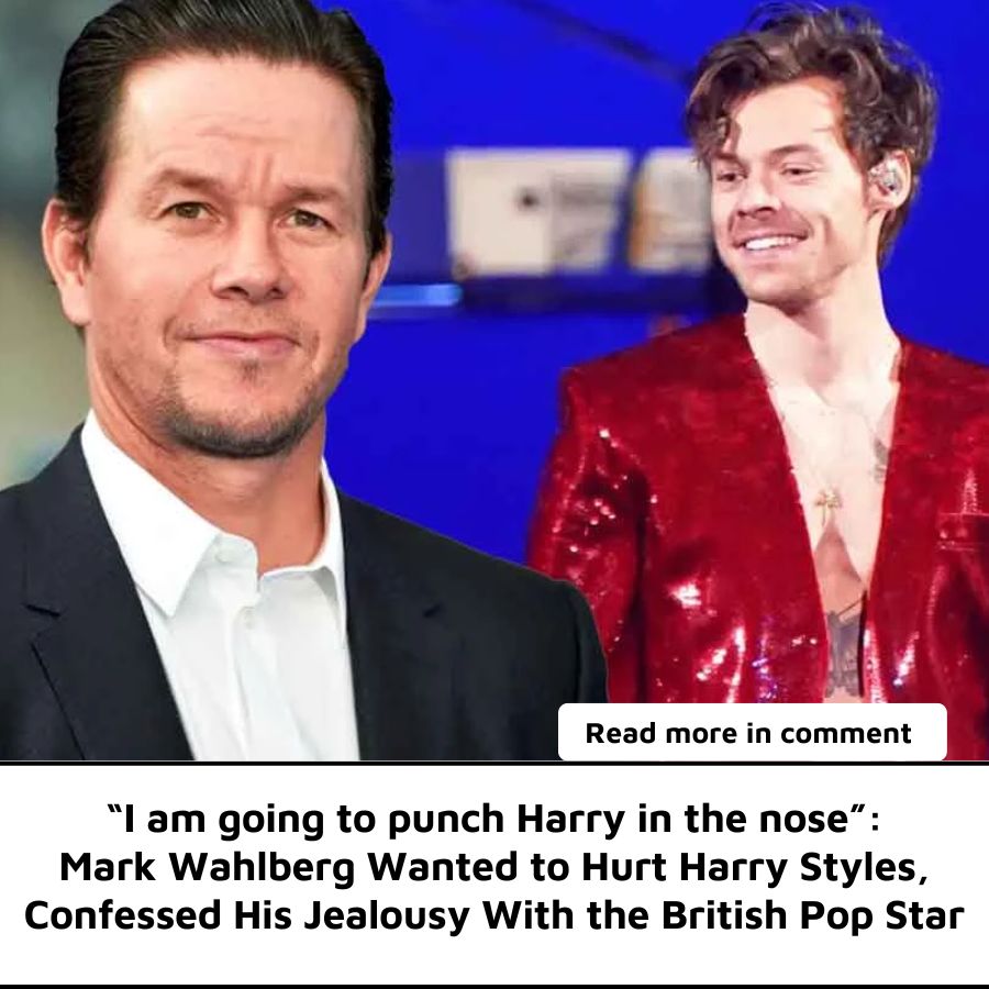 “I am going to punch Harry in the nose”: Mark Wahlberg Wanted to Hurt ...