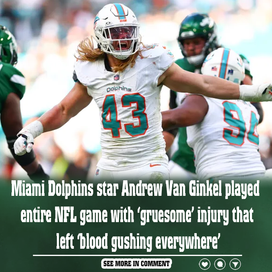 Miami Dolphins star Andrew Van Ginkel played entire NFL game with ...