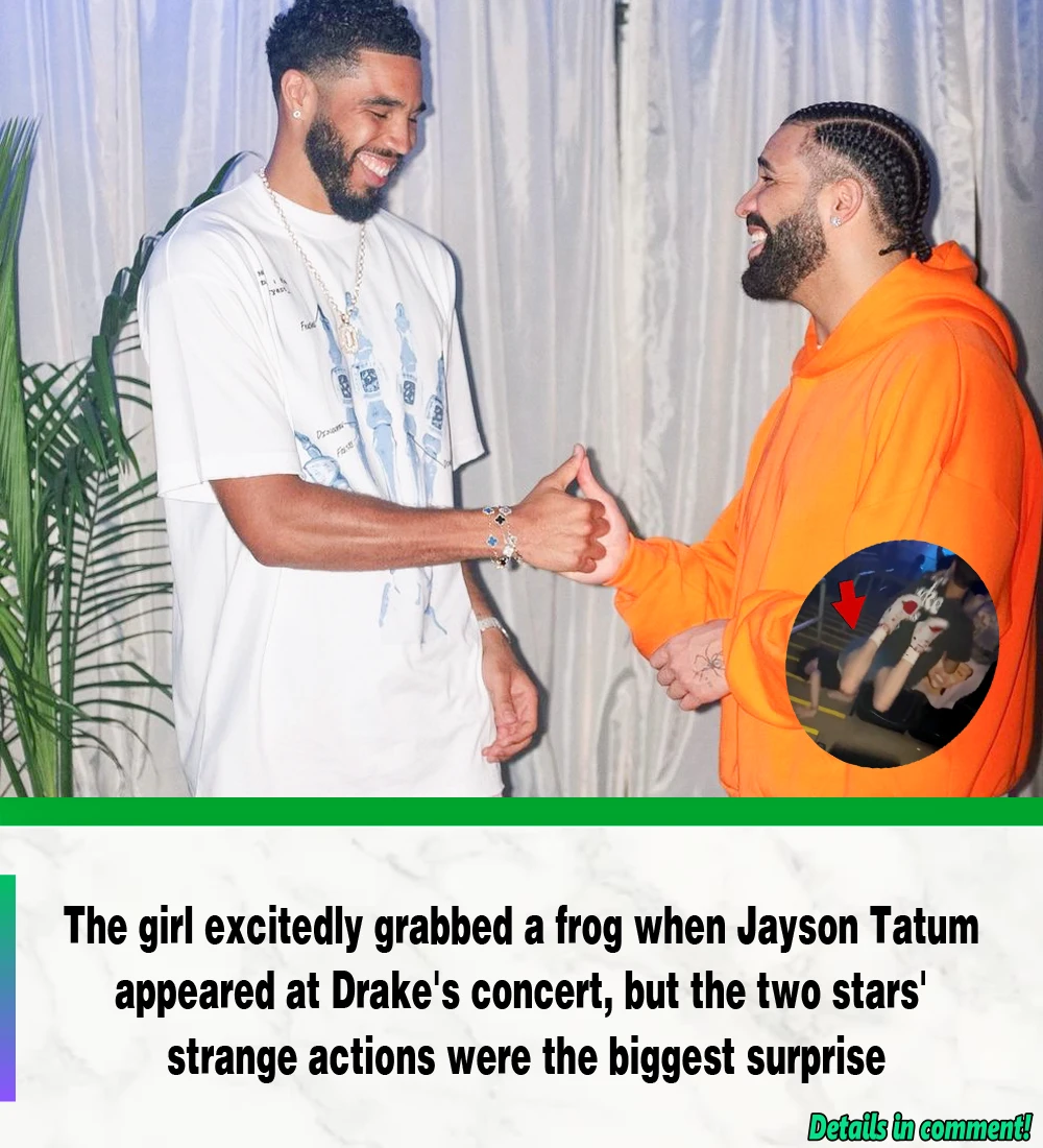 The girl excitedly grabbed a frog when Jayson Tatum appeared at Drake's ...
