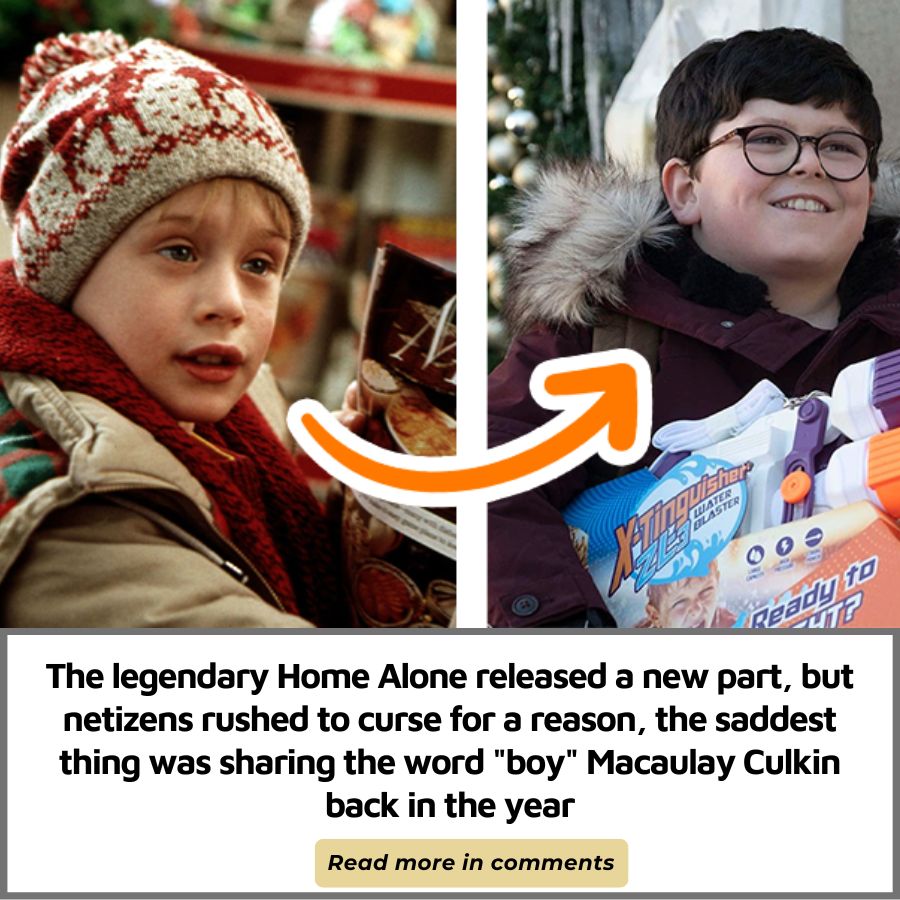 The legendary Home Alone released a new part, but netizens rushed to ...
