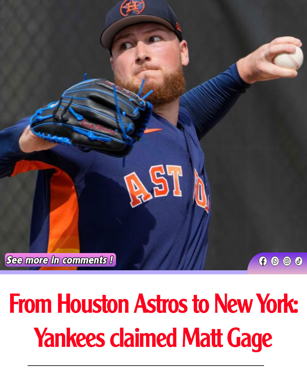 From Houston Astros to New York: Yankees claimed Matt Gage - News